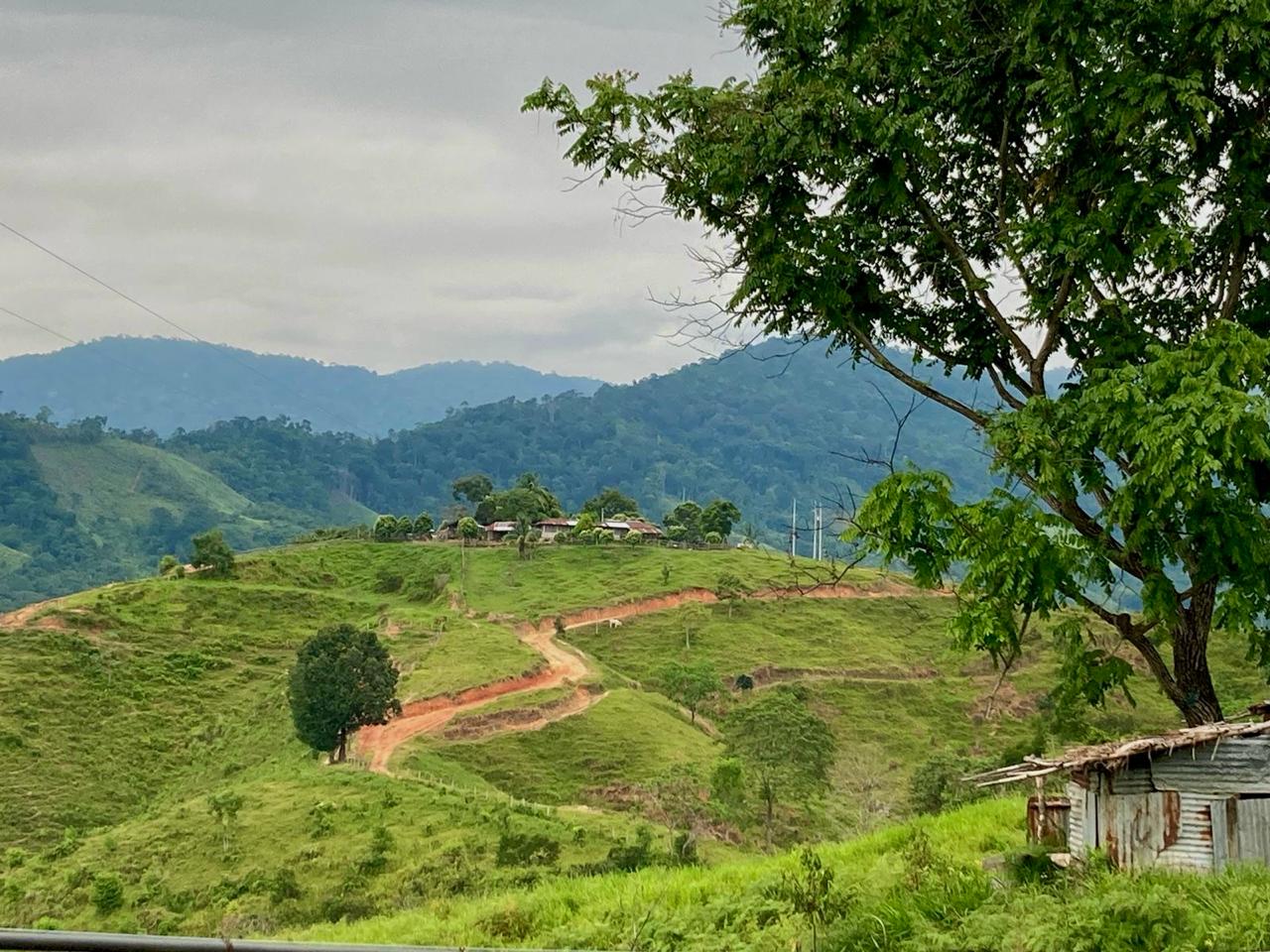 La Jurisdicción Especial para la Paz acredita a la Asociación Campesina ...